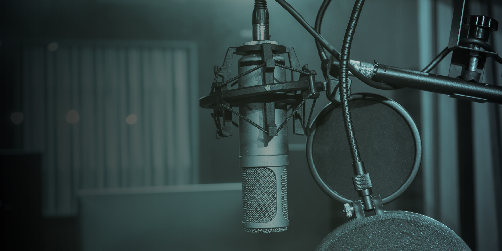 Joe Arden: Award-Winning Voice Artist & Storyteller