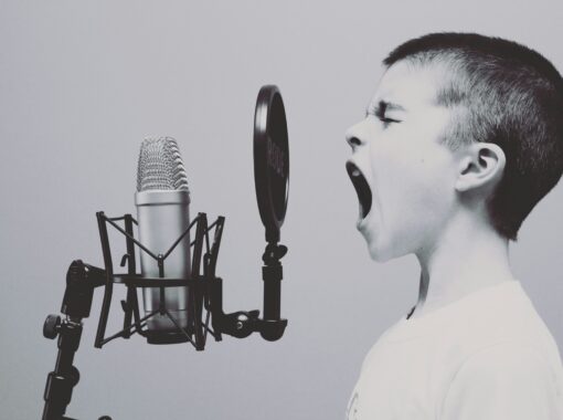 Joe Arden: Award-Winning Voice Artist & Storyteller