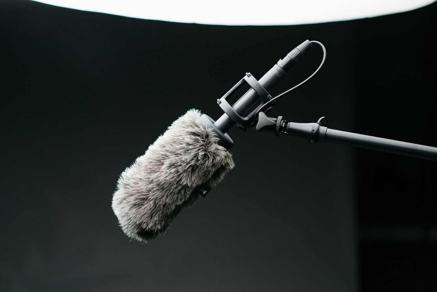 A Day in the Life of a Professional Voice Actor